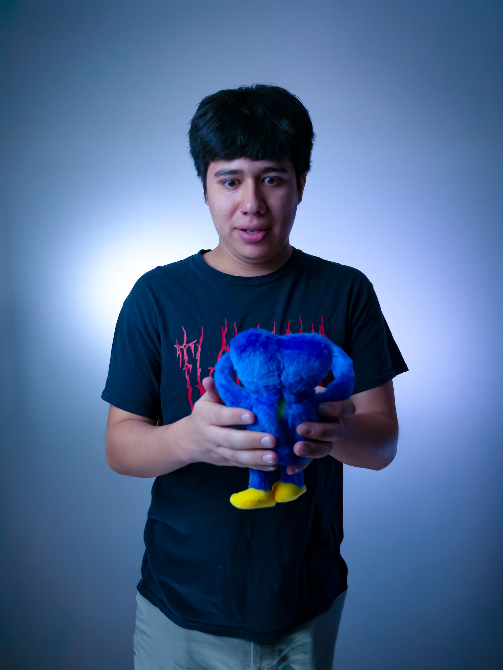 Indiefy - Music Distribution Platform